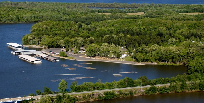 Media – Birdsong Resort Marina and Campground