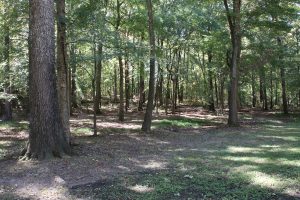Photo Gallery – Camp Sites – Birdsong Resort Marina and Campground